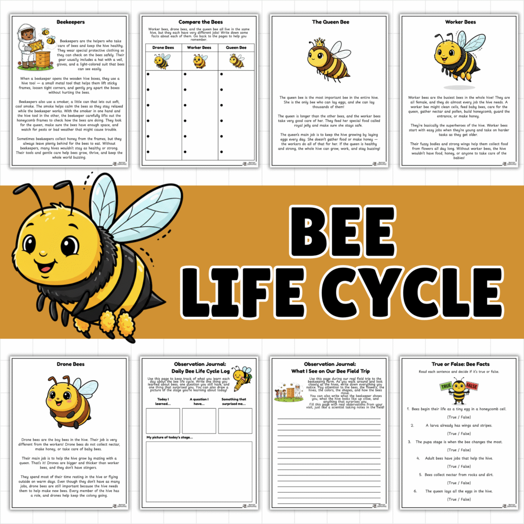 Bee Life Cycle Printable for Kids - Happier Homeschool