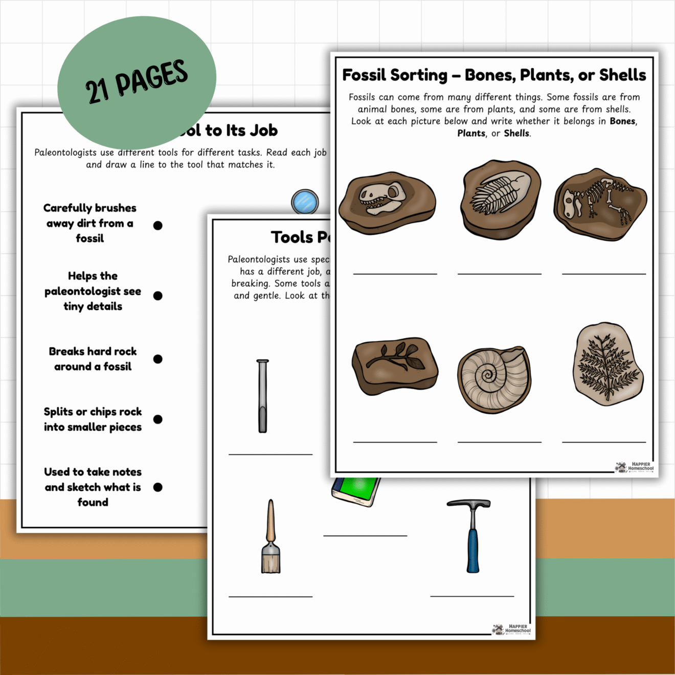 What Is a Paleontologist for Kids? A Fun Guide to Fossils, Dinosaurs ...