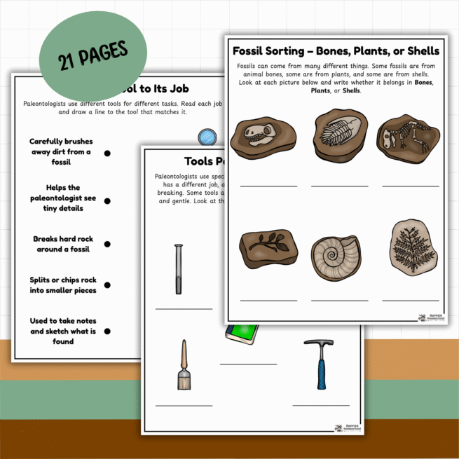 What Is a Paleontologist for Kids? A Fun Guide to Fossils, Dinosaurs ...